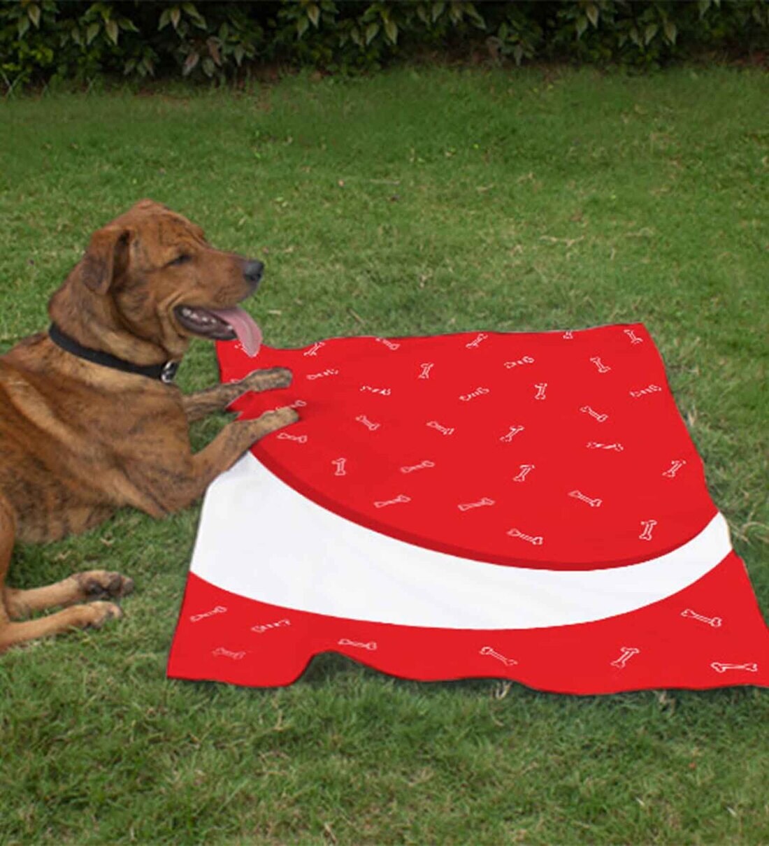 Buy Abstract Pattern- Small Red & White Fabric Dog Blanket Online - Pet ...