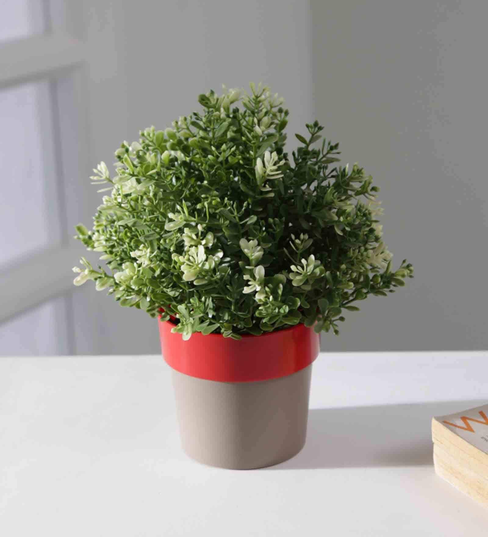 Buy Plastic Red Flower Planter By Planters at 47% OFF by Planters ...