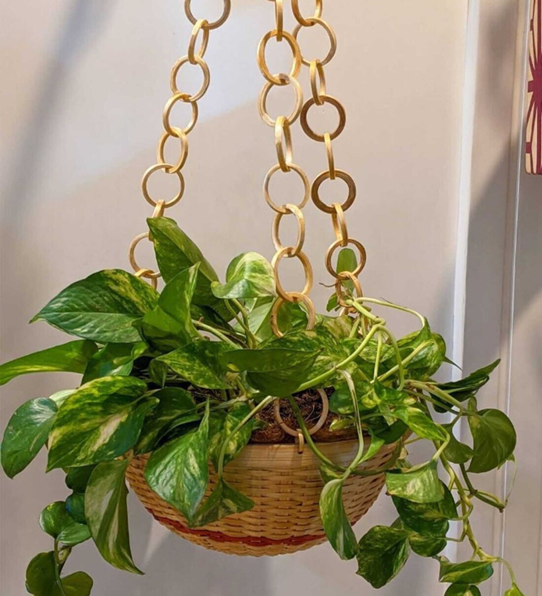 Buy Beige Bamboo Hanging Planter at 14% OFF by Trellis Bliss | Pepperfry