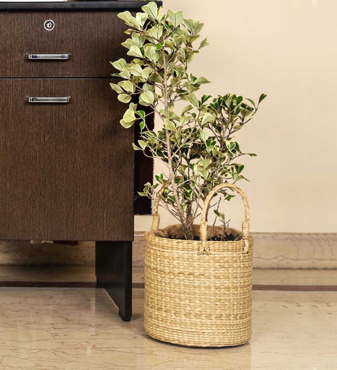 Buy Beige Water Hyacinth Floor Planter by Trellis Bliss at 13% OFF by ...