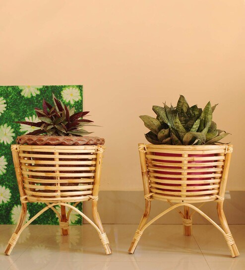 Plant Stand: Buy Planter Pot & Flower Stands Online at Best Prices