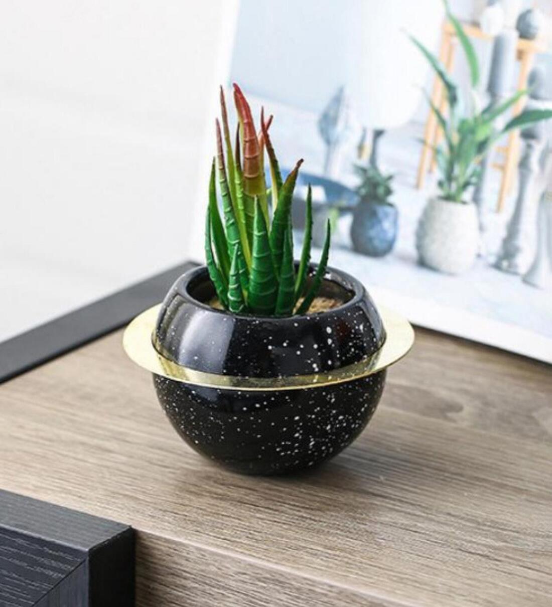 Buy Black Planet Planter Small at 28% OFF by Nestasia | Pepperfry