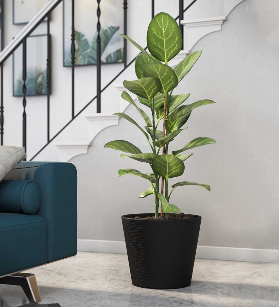 Buy Black Polymer Aloha Medium Floor Planter at 26% OFF by Planters | Pepperfry