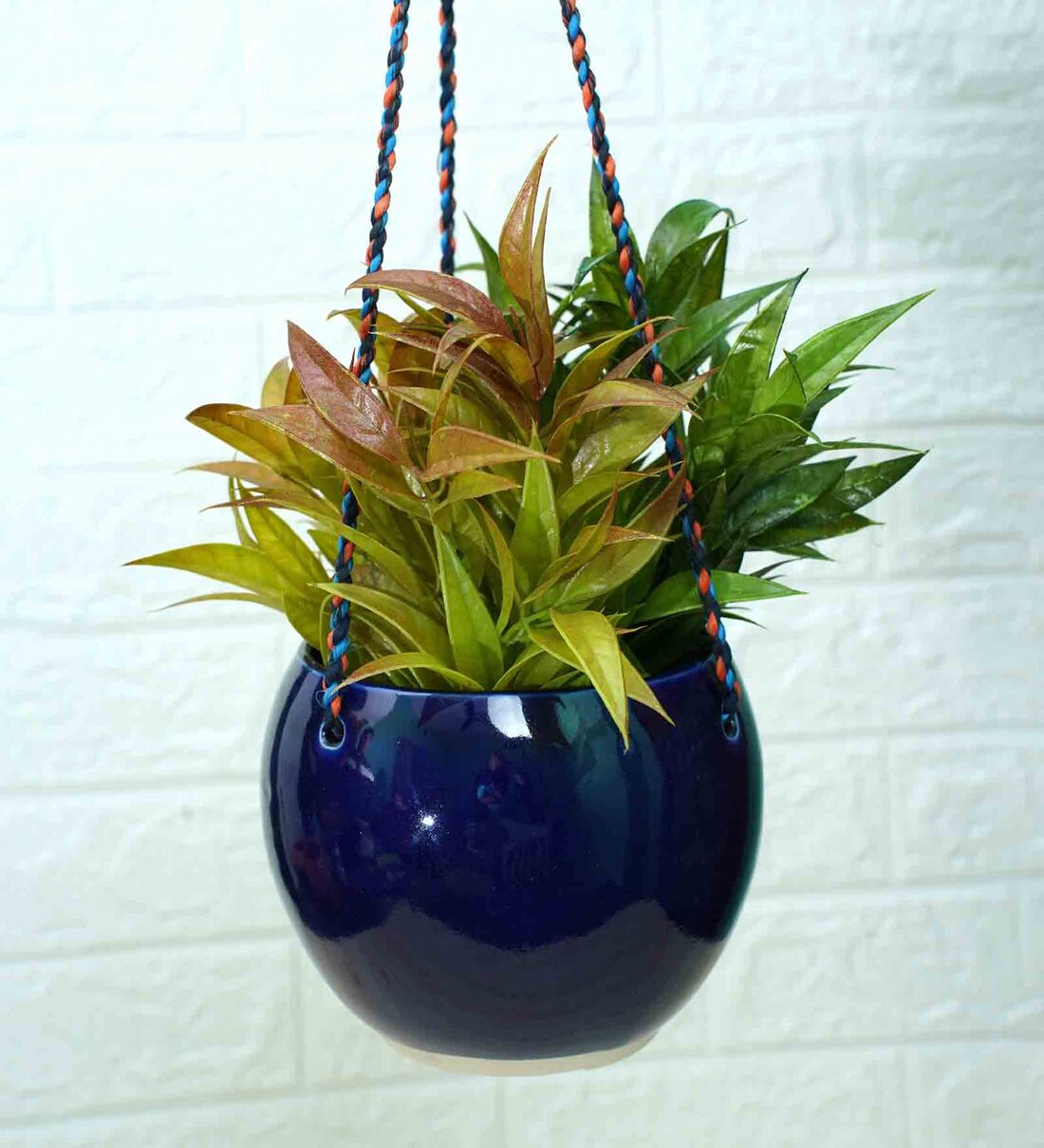 Buy Blue Ceramic Hanging Planter By Gold Dust Online - Floor Planters ...