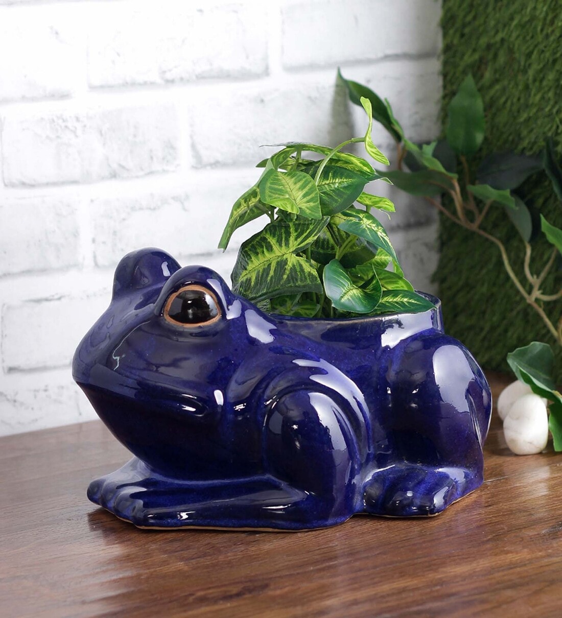 Buy Blue Ceramic Frog Shape Planter By Gaia at 29% OFF by Gaia | Pepperfry