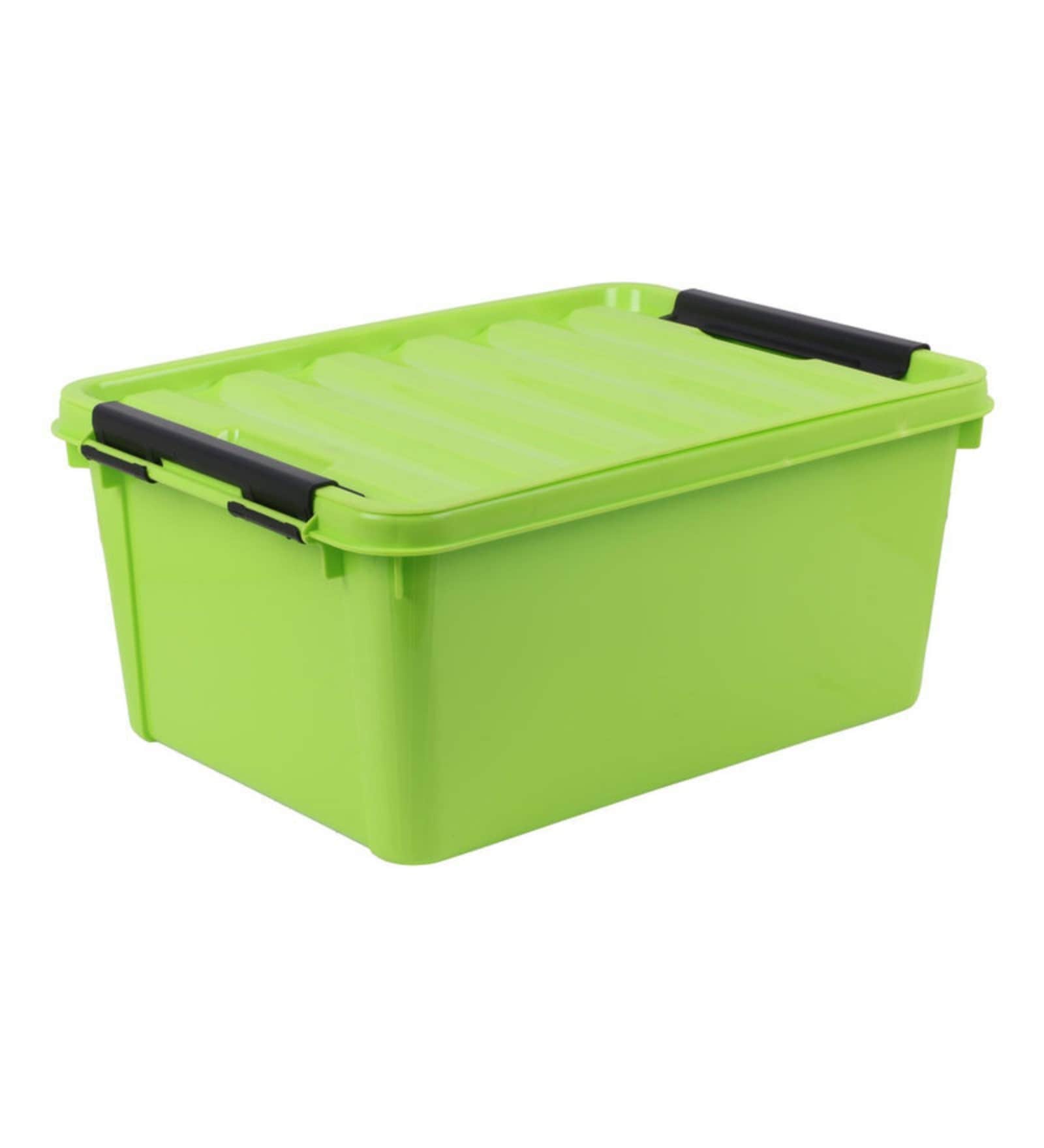 Buy Pineapple Plastic Kids Storage Box in Green Colour Online - Kids ...