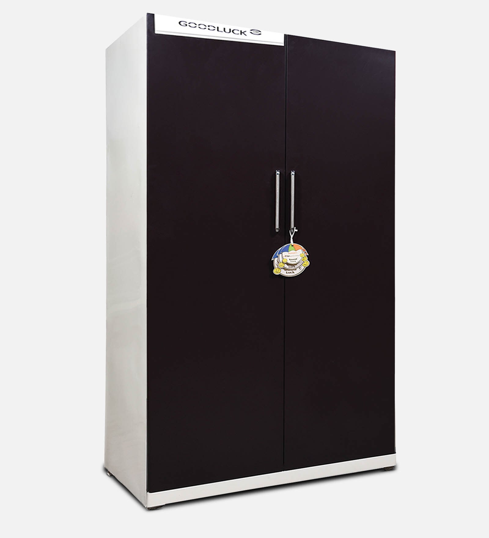 Buy Crystal 2 Door Metal Almirah in Dark Brown Colour by GoodLuck ...