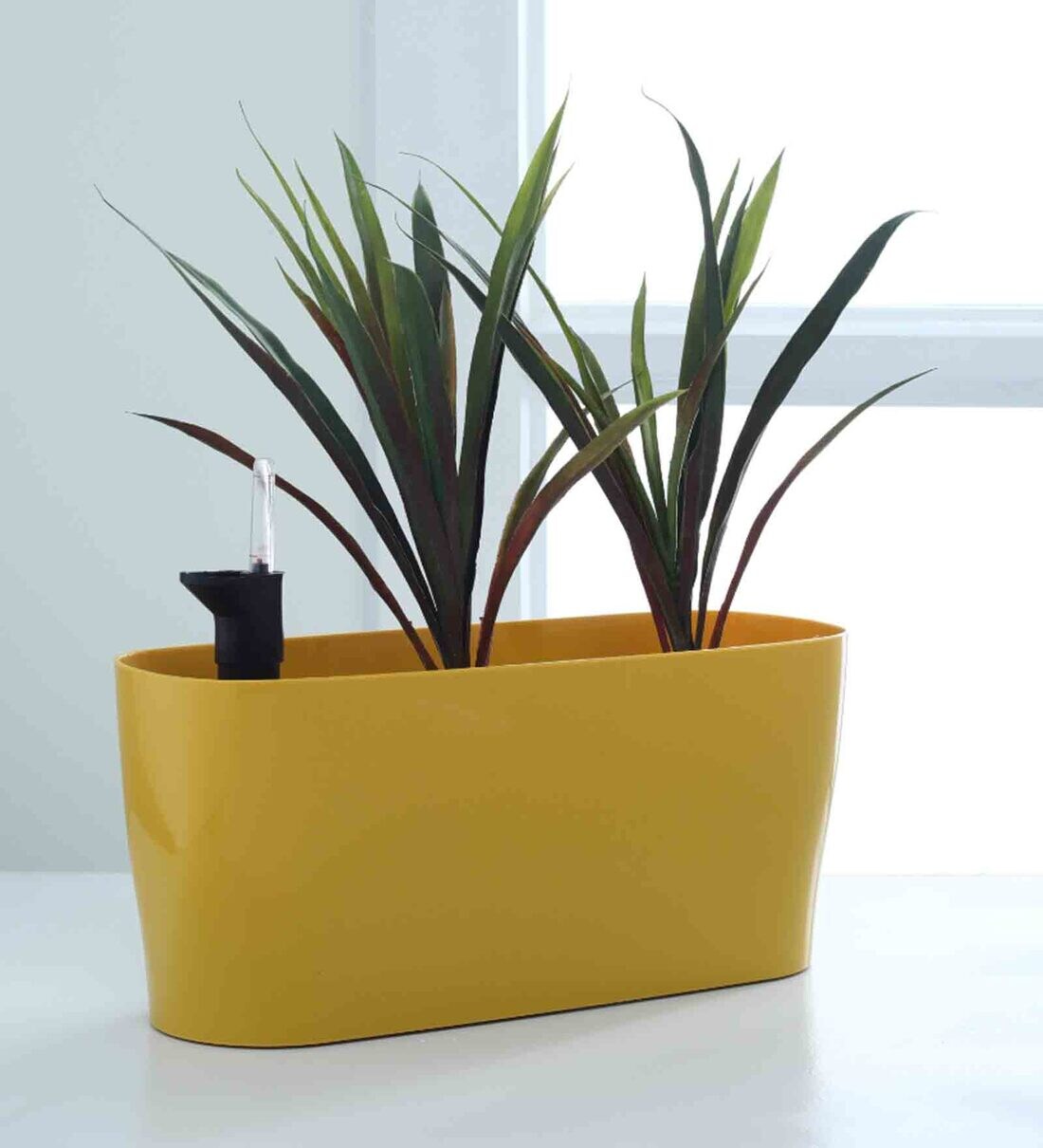 Buy Plastic Yellow Planter By Planters at 40% OFF by Planters | Pepperfry