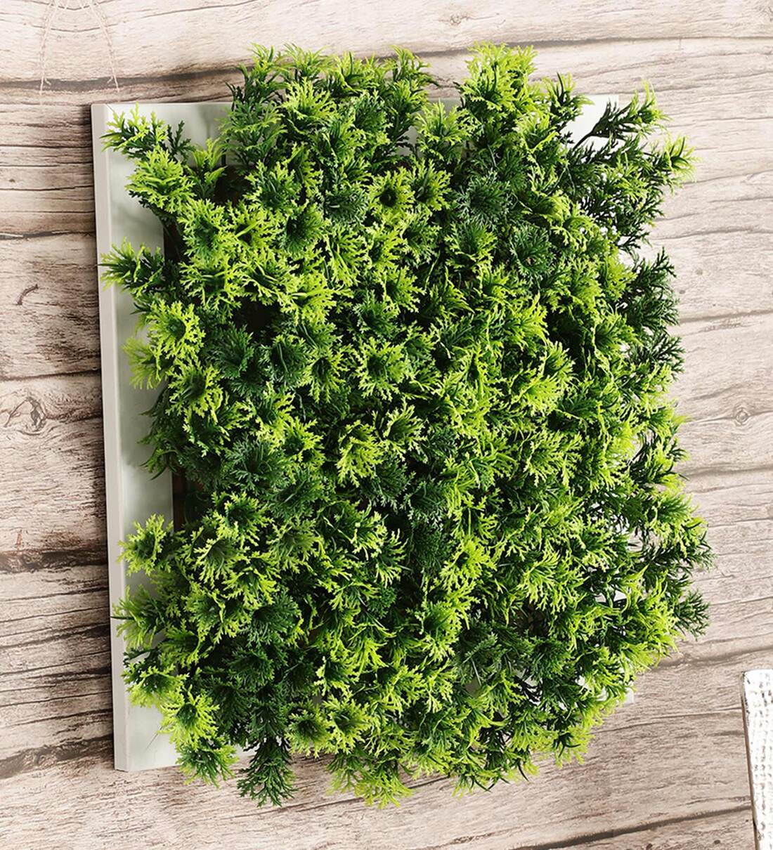 Buy Green MDF Frame with 3 Branch Thick Artificial Leaf by Foliyaj at ...