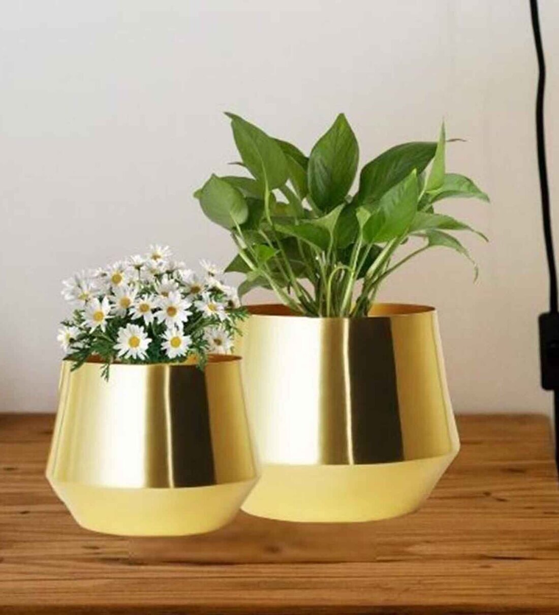 Buy Gold Metal Alice Desk Planter (Set Of 2) at 29% OFF by Ecofynd ...