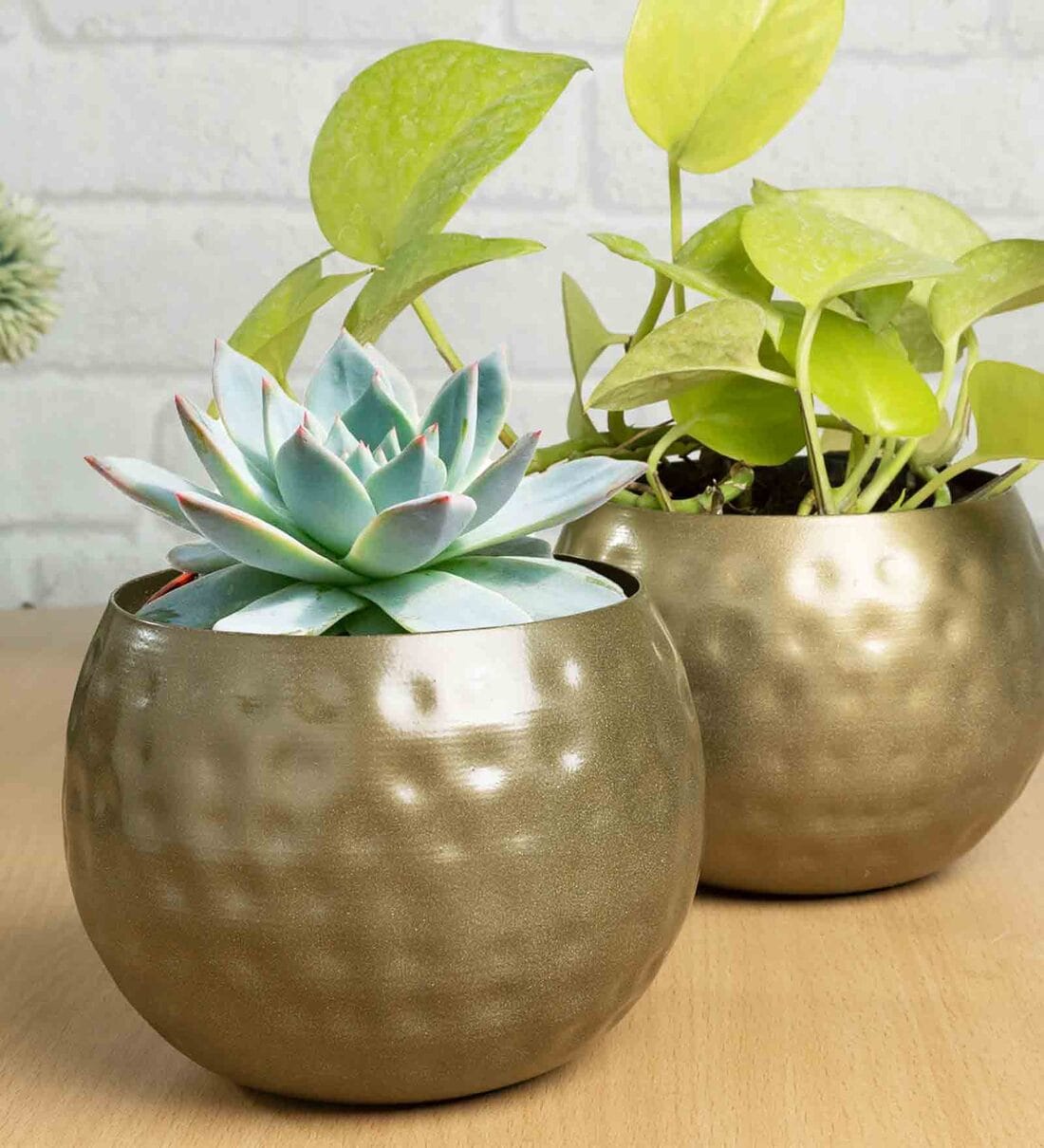 Buy Gold Metal Country Style Belly Bucket Hammers Desk Pots (Set of 2 ...