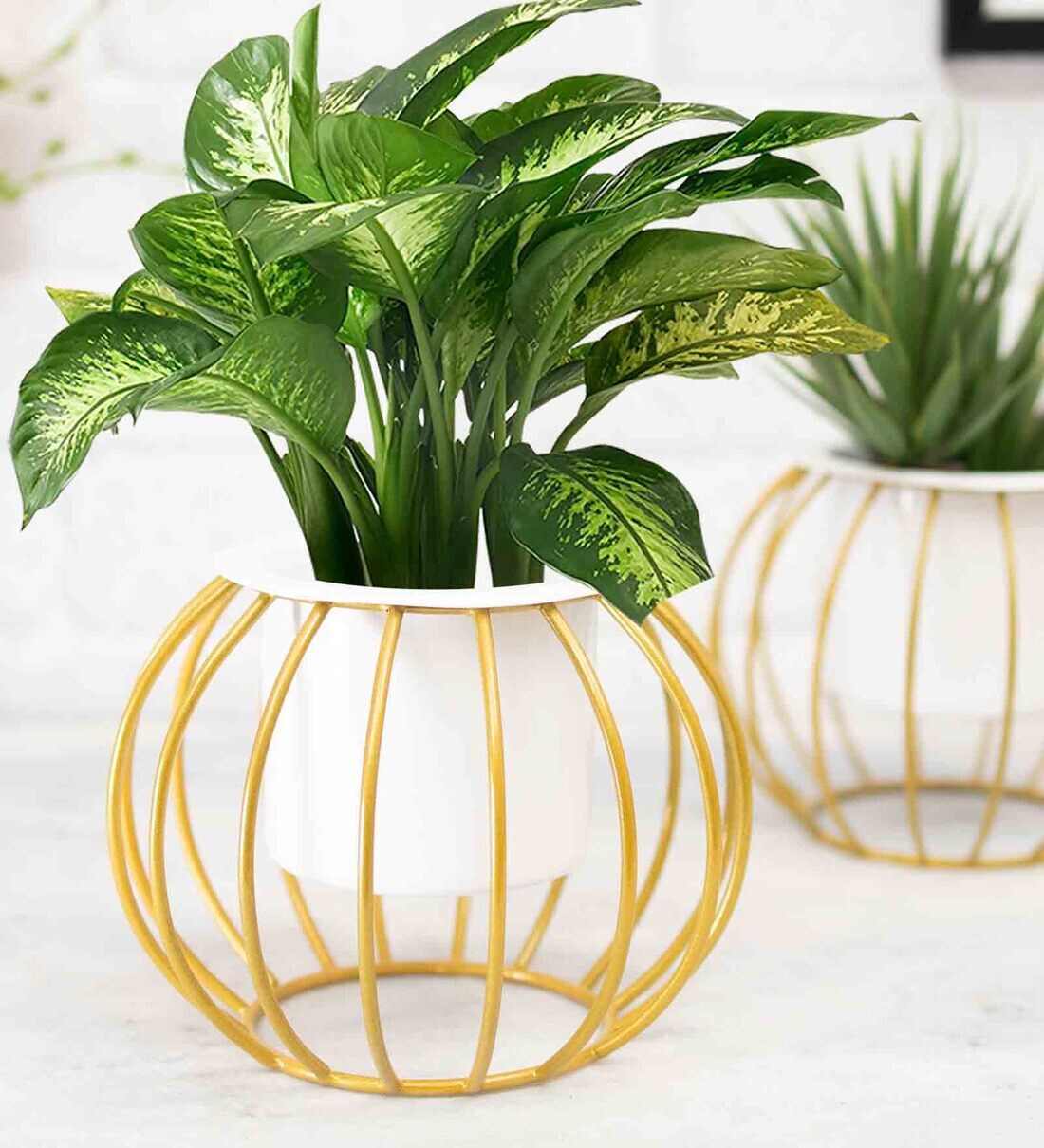 Buy Gold Metal Round Base Table Planter Stand With White Pot (Set of 2 ...