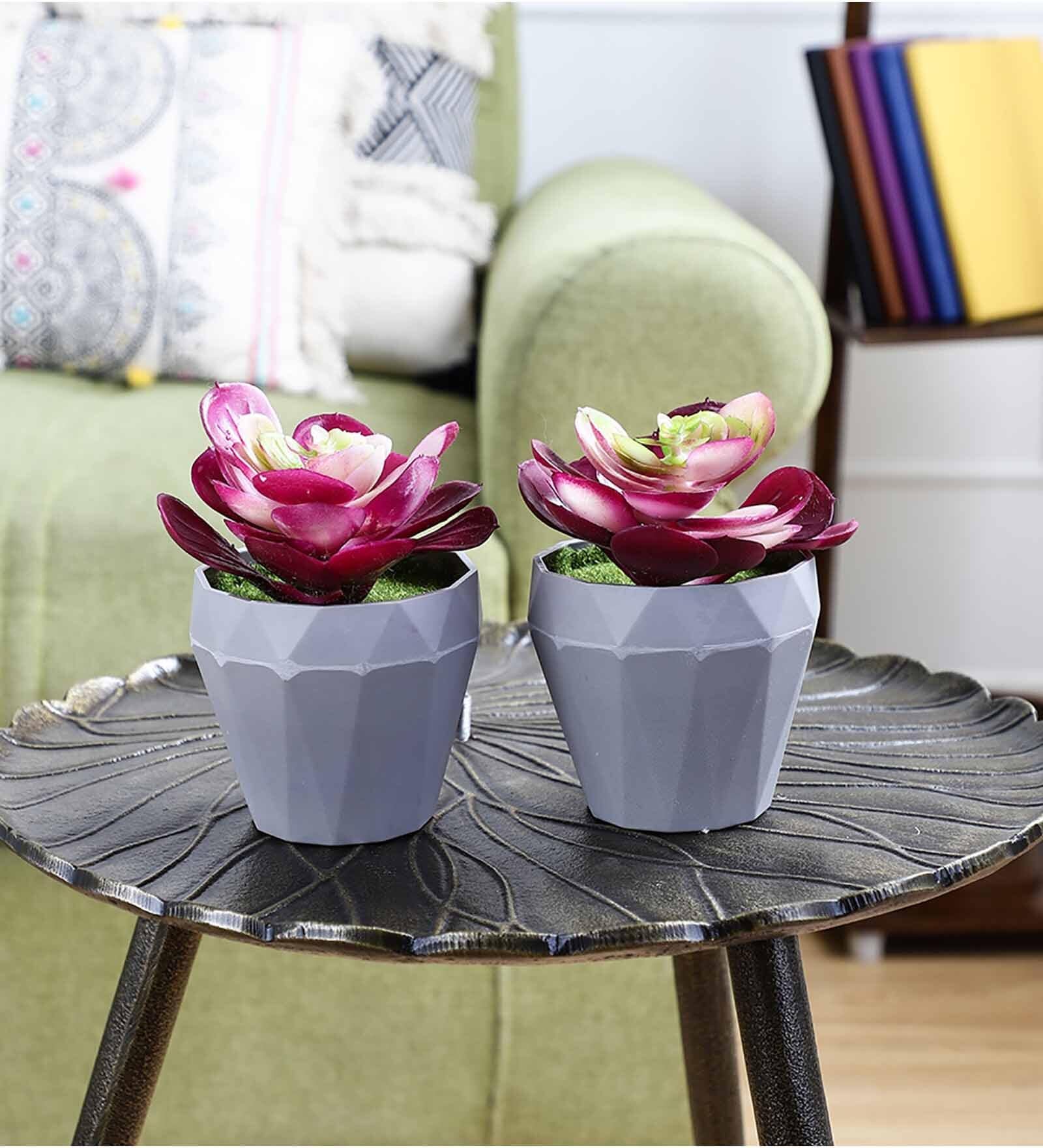 Buy Green Plastic Artificial Succulent Plant With Pot Set Of 2, By Odd ...