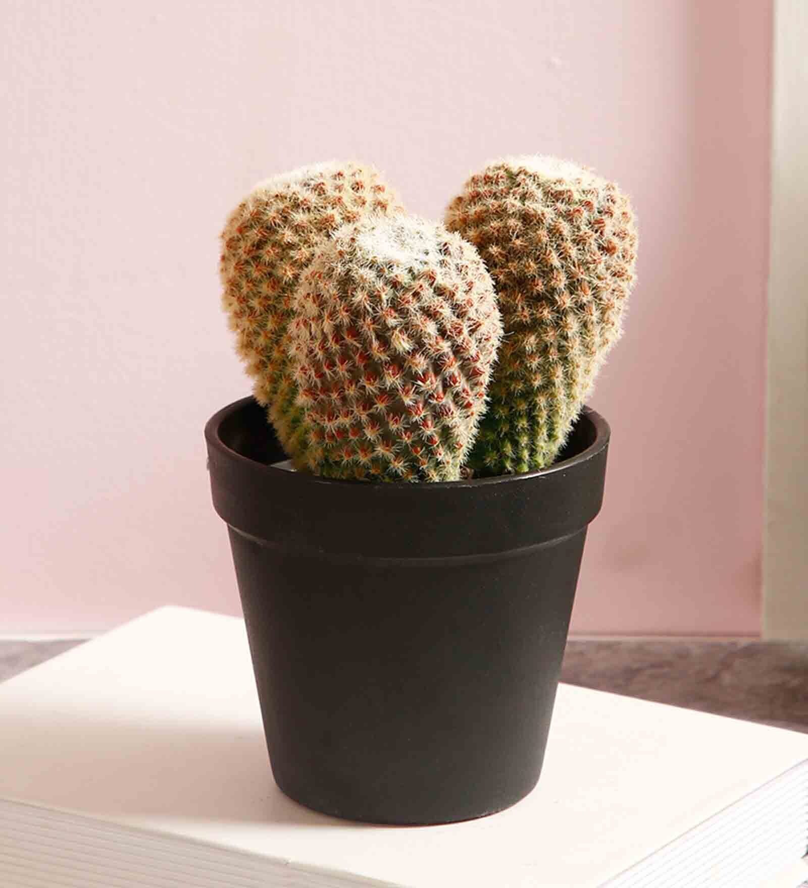 Buy Plastic Green High Quality Cactus With Pot Artificial Plants at 66% ...