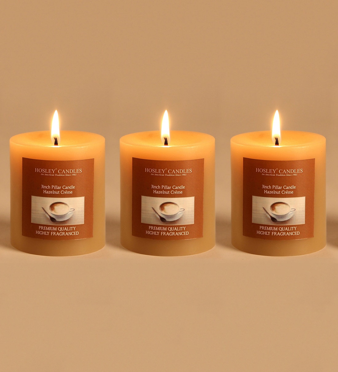 Buy Hazelnut Creme Aroma Set of 3 Scented Candles by Hosley Online ...