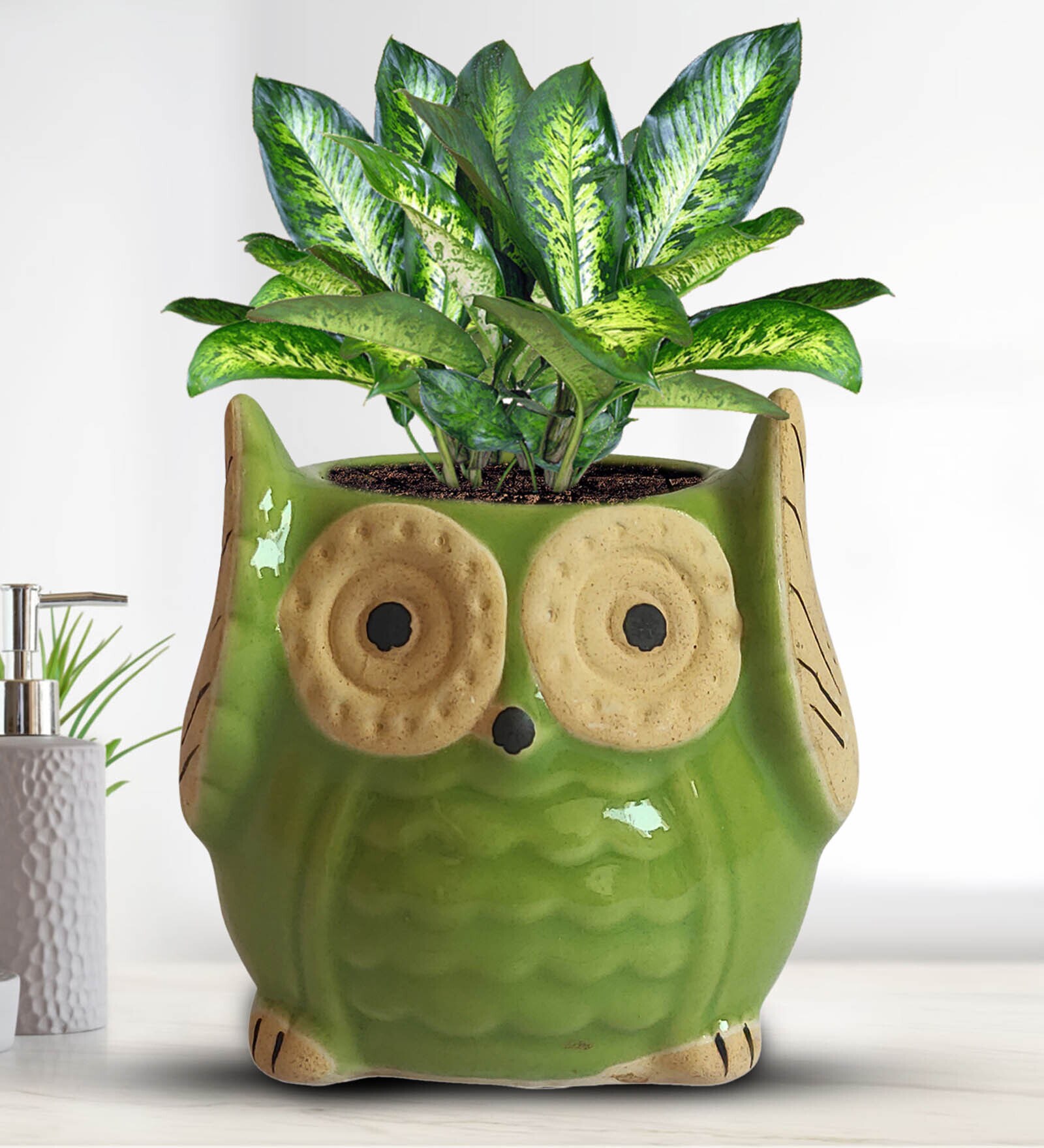 Buy Light Green Ceramic Owl Shape Big Desk Pot by Justoriginals at 31% ...