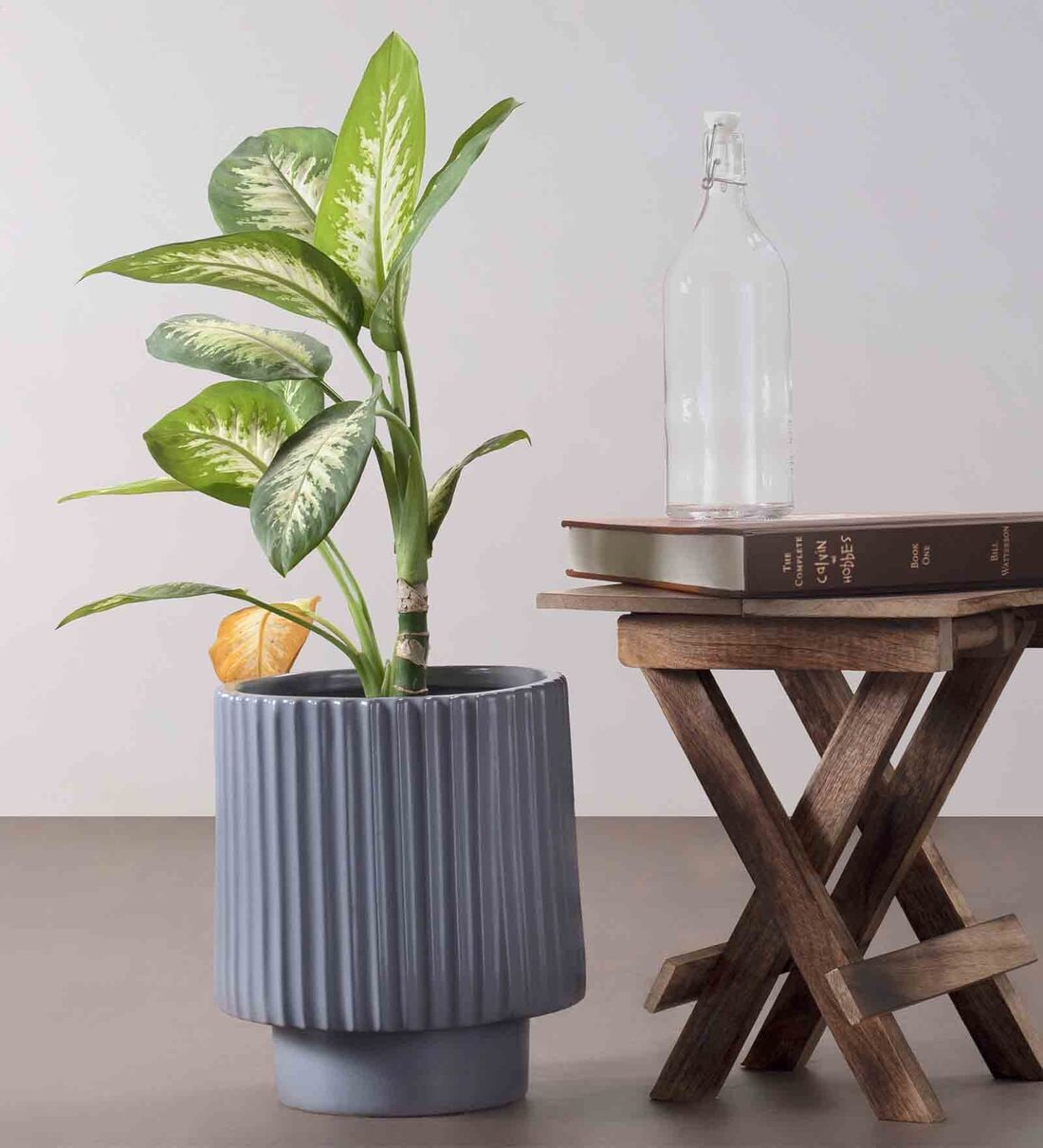 Buy Matt Grey Ceramic Dark Affinity Large Planter at 45% OFF by Harla Arts | Pepperfry