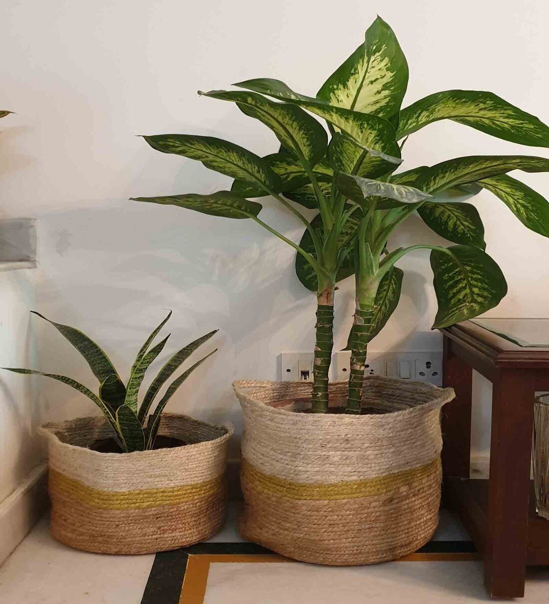 Buy Natural Jute Planter by August Collectives by August Collectives ...