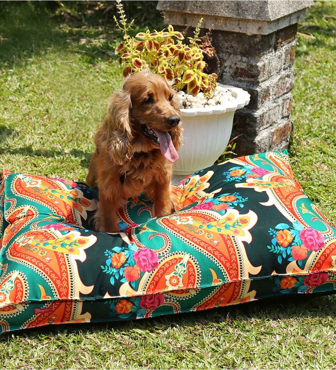 Buy Paisley Flush MultiColour Fabric Dog Mat Online - Pet Mats - Pet ...