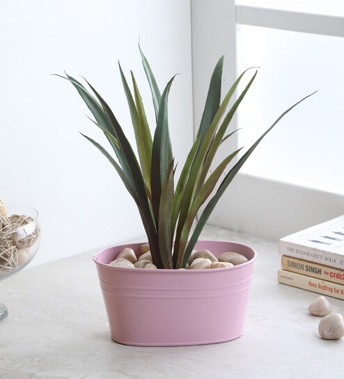 Buy Pink Tin Matisse Trough Lined Big Planters Online - Floor Planters ...