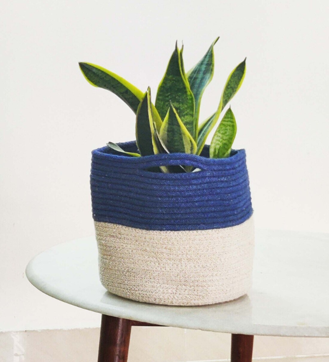 Buy Radiant Blue Cotton Planter at 15% OFF by Jasmey Homes | Pepperfry