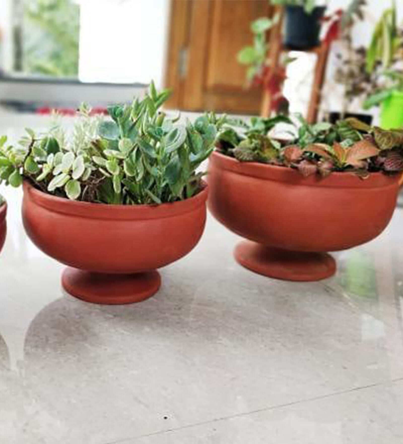Buy Red Terracotta Stand Donga Planter Small Online - Floor Planters ...