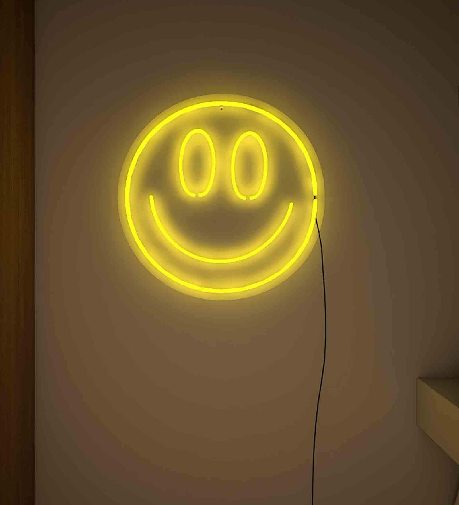 Buy Smiley Face LED Neon Light (Available in multiple colors) at 29% ...