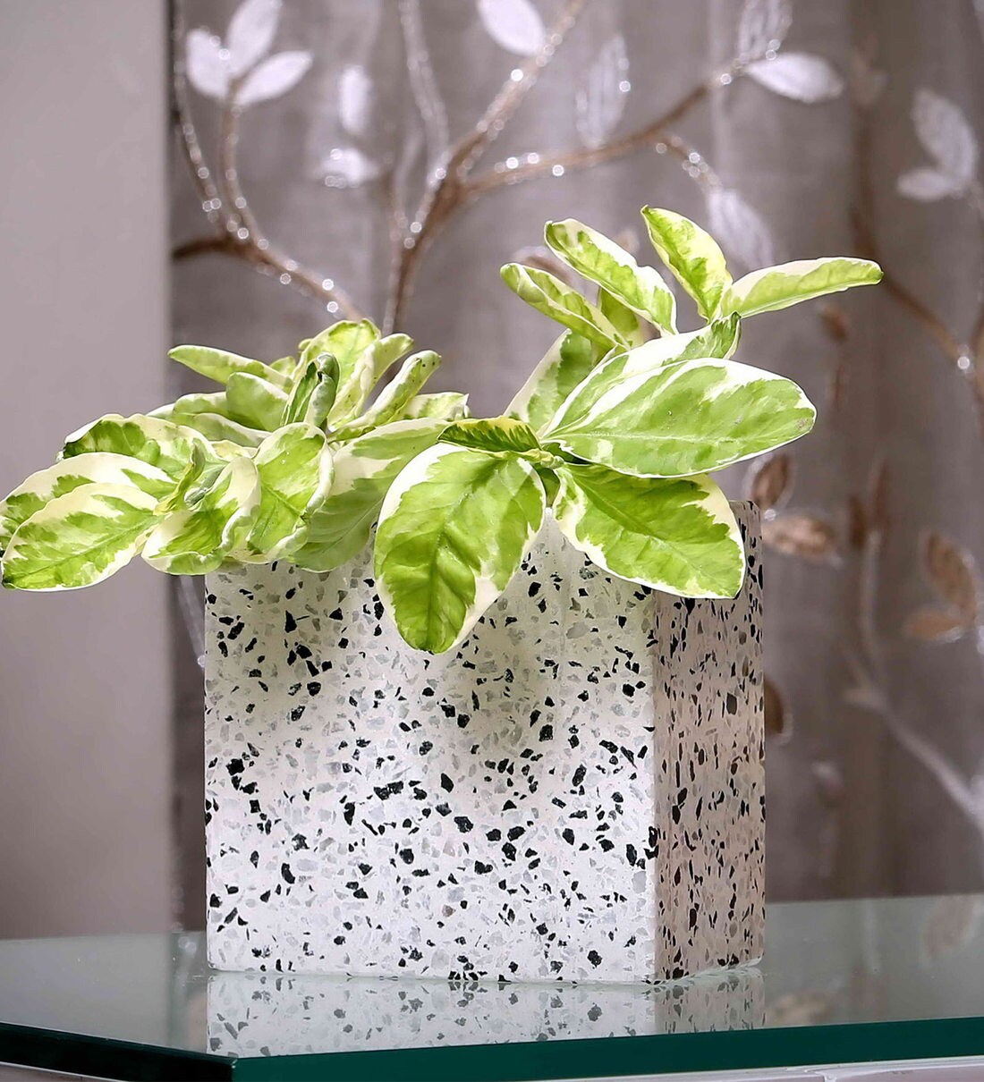 Buy Black And White Square Terrazzo Planter at 63% OFF by POSH N PLUSH ...