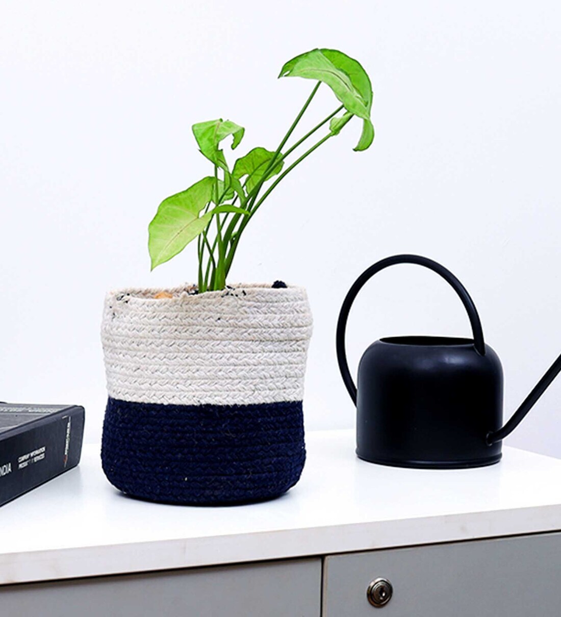 Buy White Cotton Rope Ornamental Planter by Trellis Bliss at 17% OFF by ...