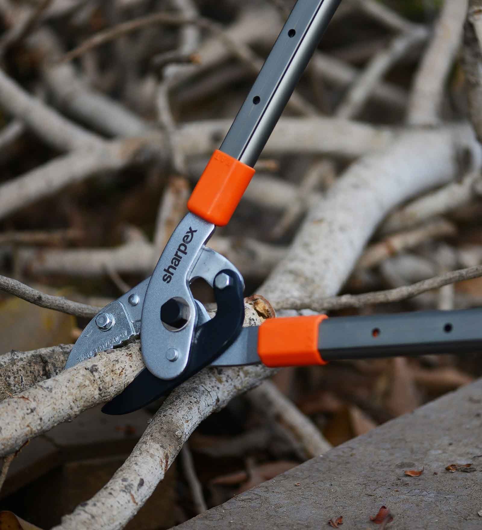 Buy White Carbon Steel Lopper With Telescopic Handle Gardening Tool at ...